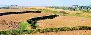 USDA Announces January 15 National Batching Deadline for Major NRCS ...